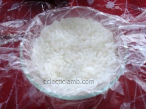 21 Ways to Play with Your Rice | Eclectic Lamb