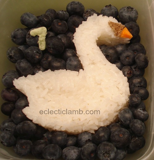 21 Ways to Play with Your Rice | Eclectic Lamb
